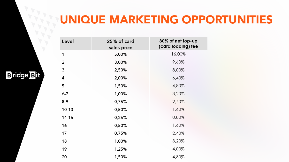 Bridge Bit Card Review: A Revolutionary Solution for European Users ...